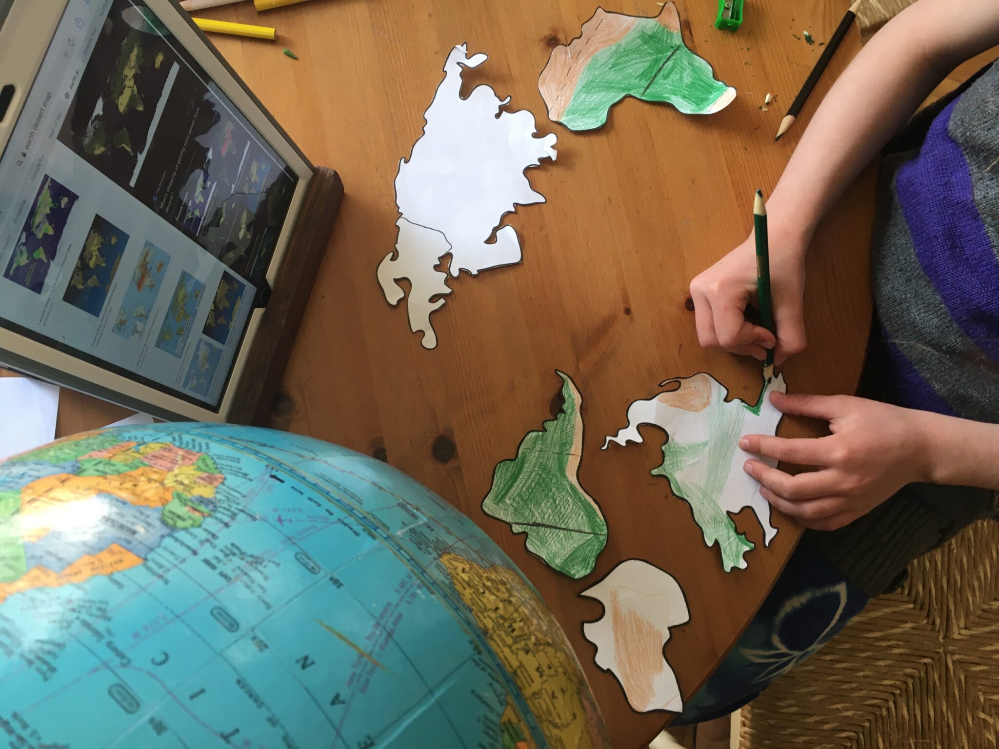 Paper Mache Globe - Blackburnian