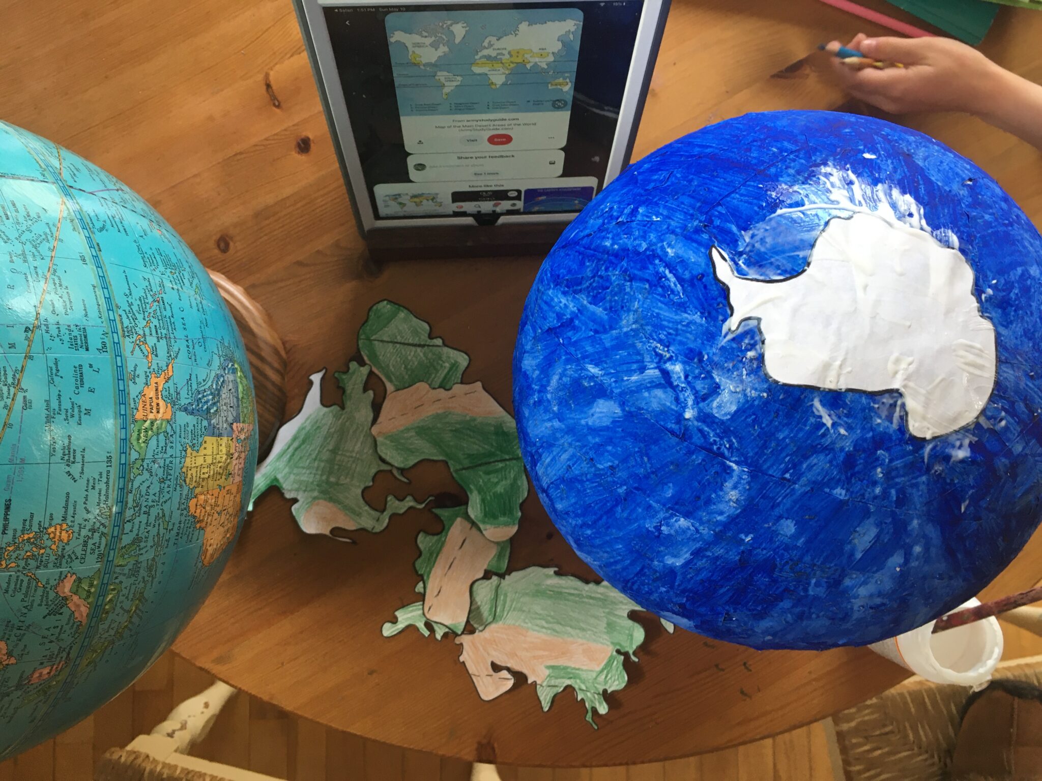 Paper Mache Globe - Blackburnian